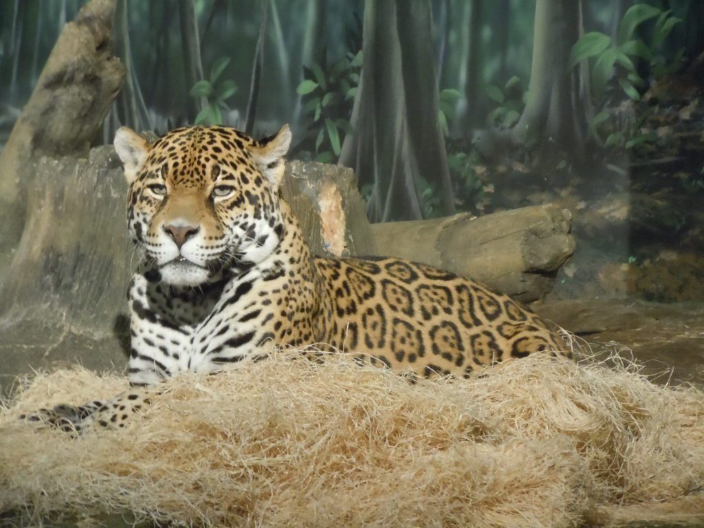 Lakeshore State Park | wisconsinharbortowns.net