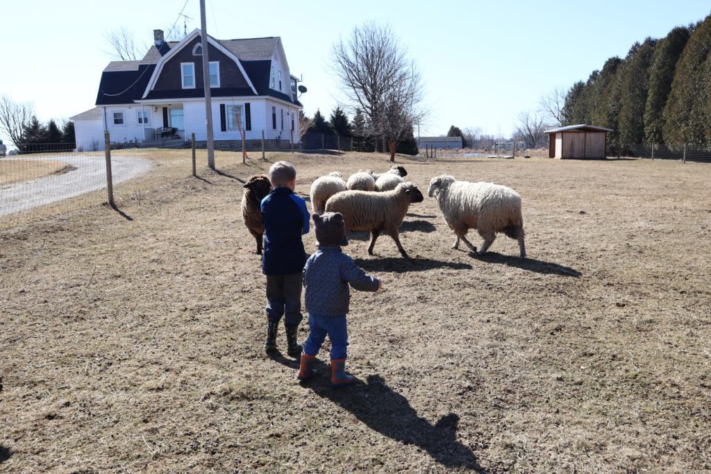 Sheboygan Quarry Beach | wisconsinharbortowns.net