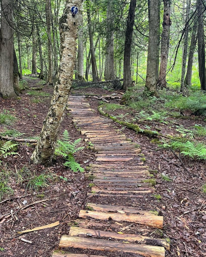 Tri-County Corridor Recreation Trail | wisconsinharbortowns.net